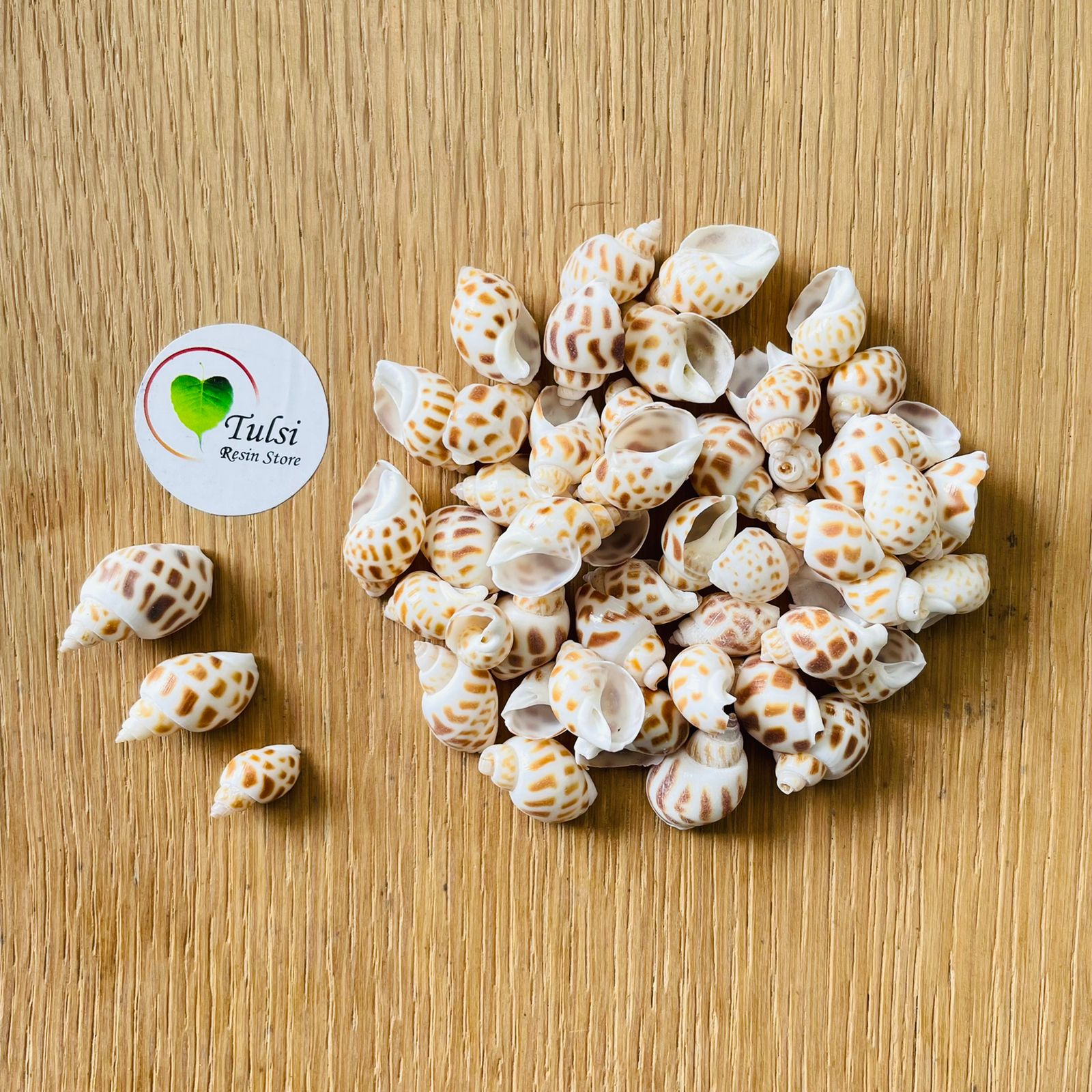 Single Shell G – Resin Bulk Buy